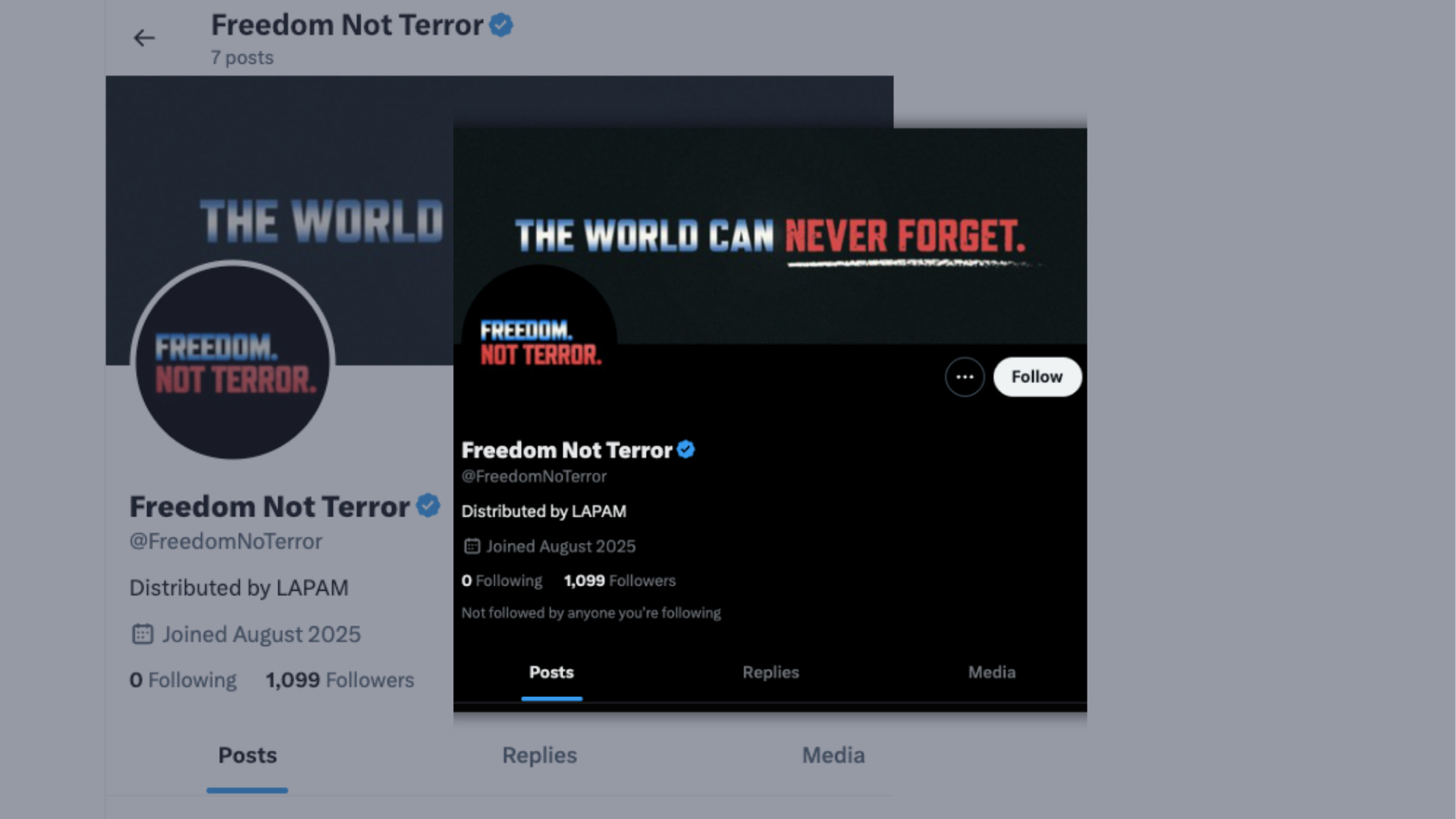 Israel uses old footage in new Hamas 'terrorist rampage' advert.